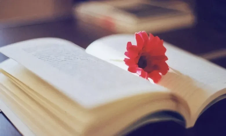 How Libras Can Navigate Challenges with Four Zodiac Signs | Dear Libra