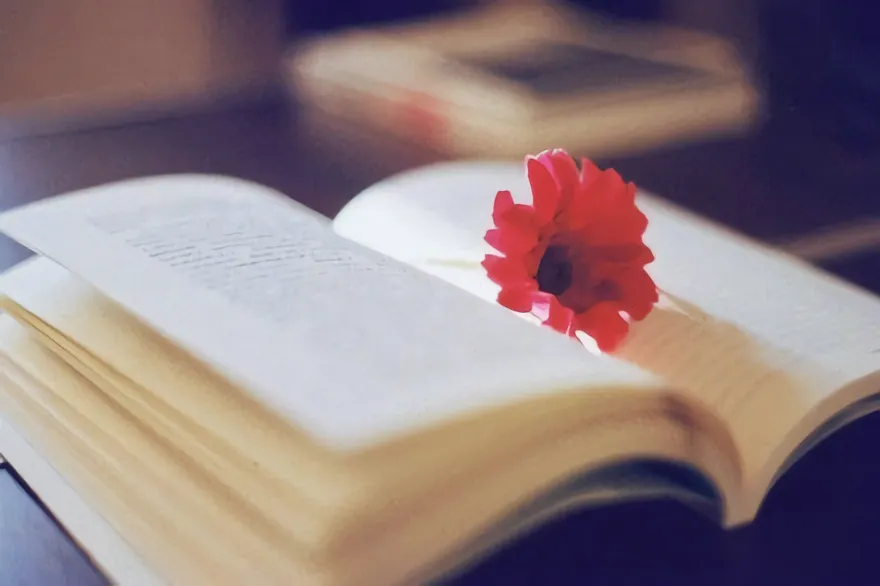 How Libras Can Navigate Challenges with Four Zodiac Signs | Dear Libra