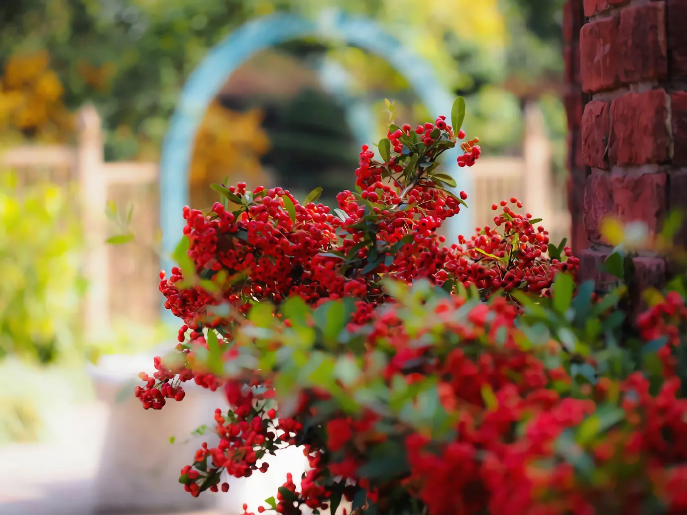 Libra vs Scorpio: Which Zodiac Sign Holds the Upper Hand in Love ...