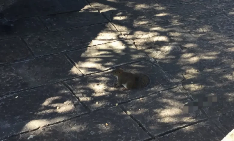 What Are the Personality Traits of a Libra? Exploring 3 Key ...