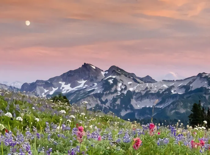 Understanding Libra Rising: The Many Faces of Social Grace and Love ...