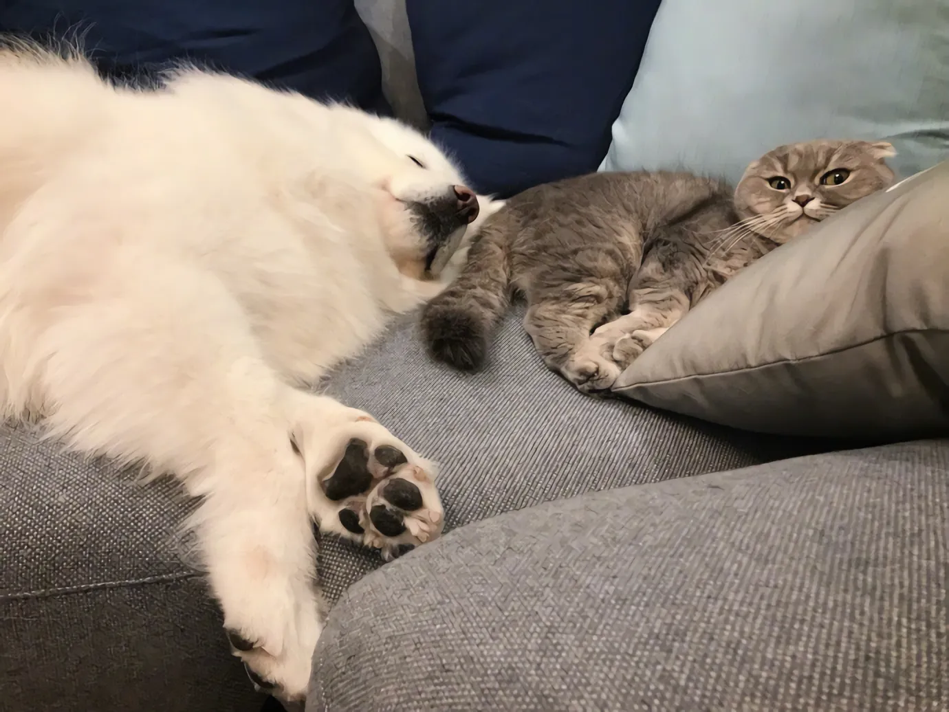 Cosmic Love Stories: The Deep Attraction Between Libra Women and Men ...