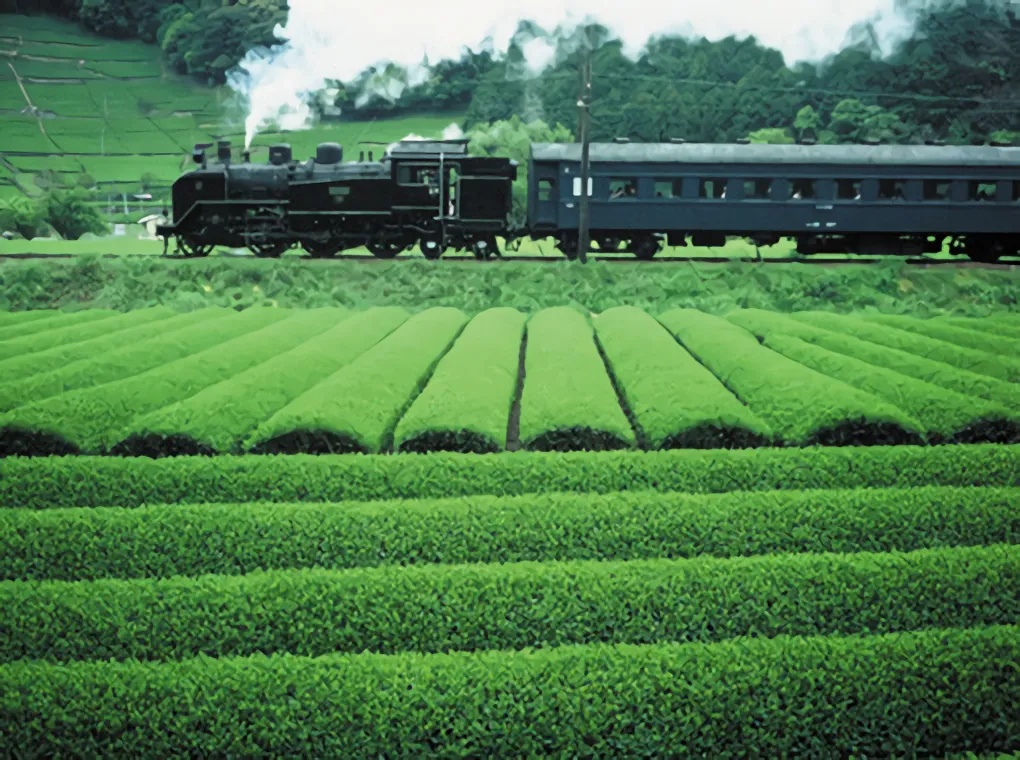 The Myth and Personality of Libra: A Beautiful Zodiac Story | Dear Libra