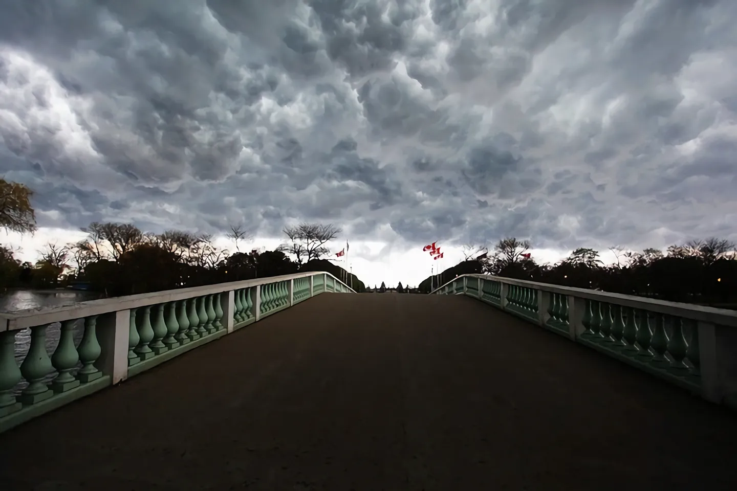 What Kind of Women Do Libra Men Like? | Dear Libra