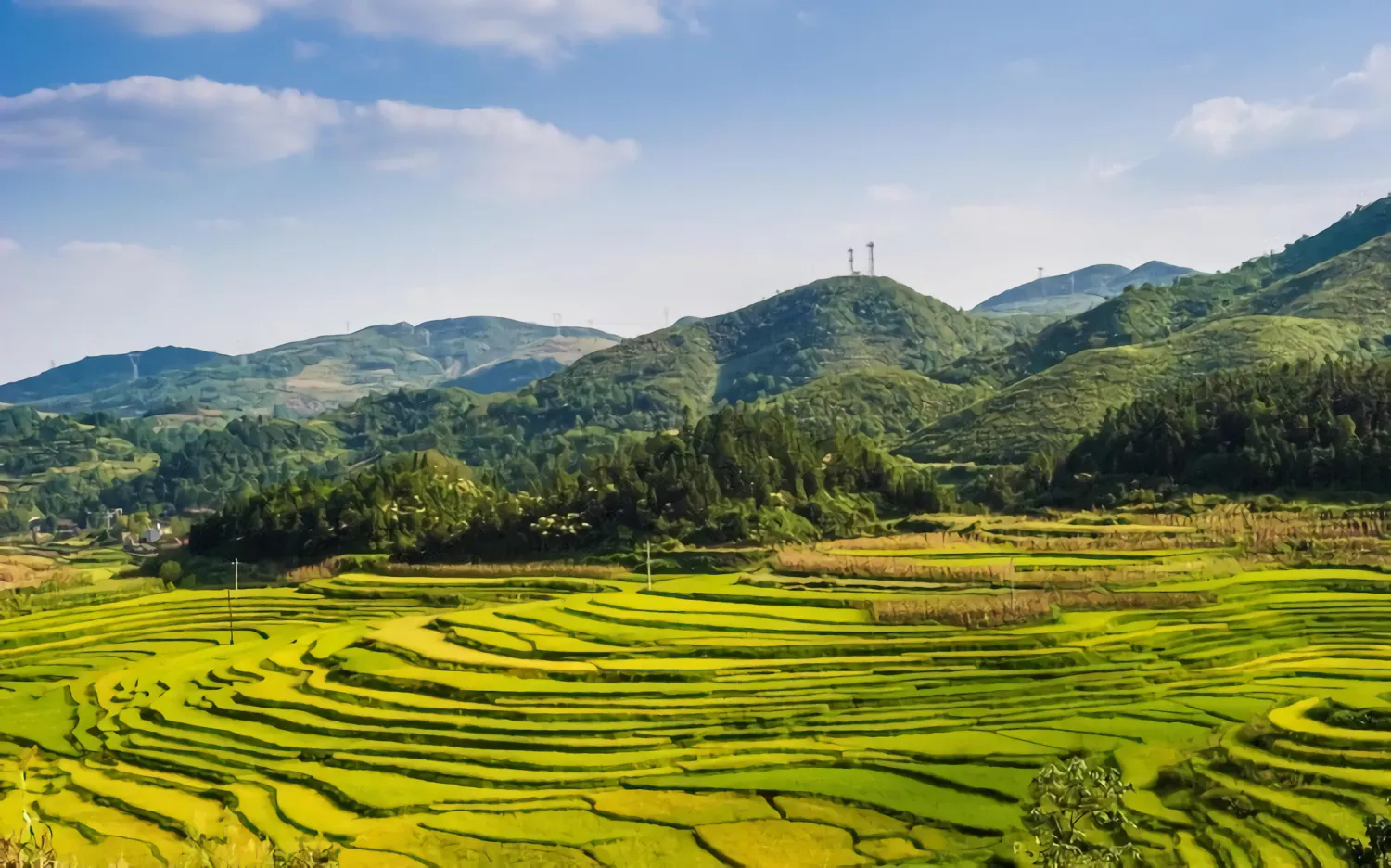 Stars and Zodiac Signs: Unveiling the Charm of Libra and Other ...