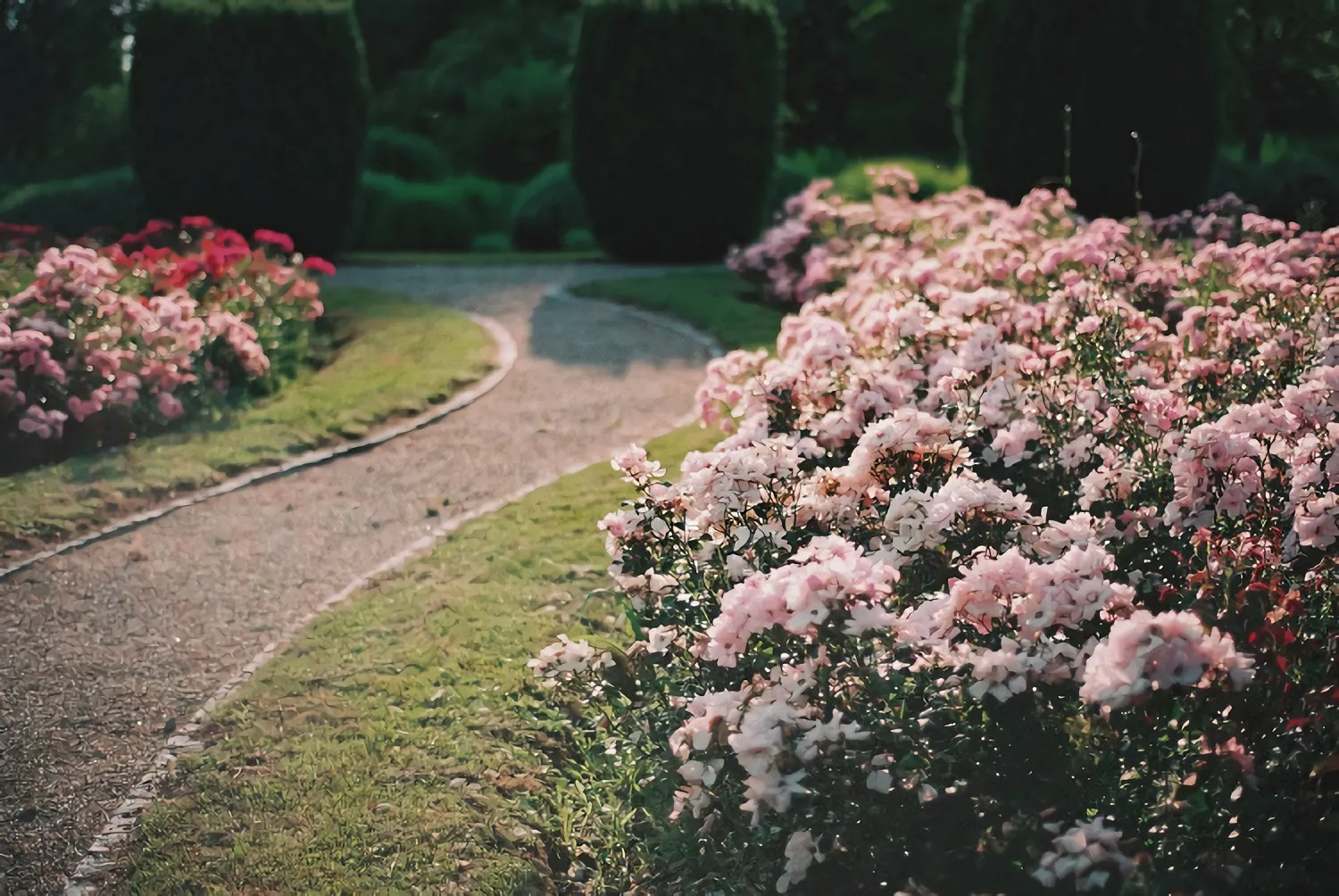 How to Understand and Connect with a Libra | Dear Libra